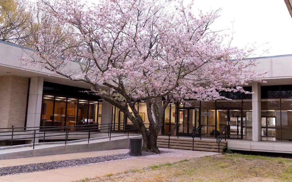 Arkansas State University International Students Admissions Information