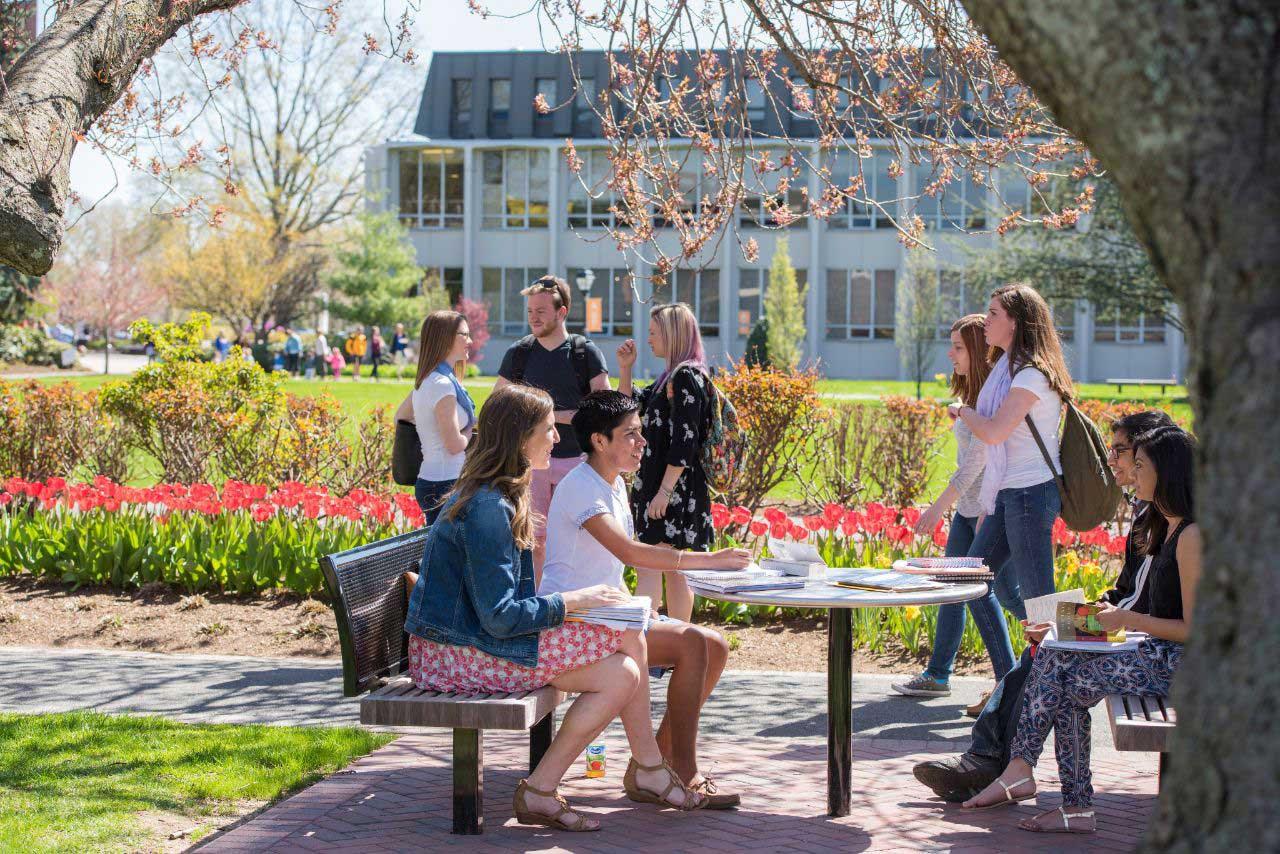 Adelphi University International Students Admissions Information