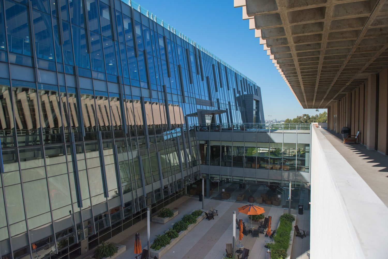 CSU Dominguez Hills International Students Admissions Information